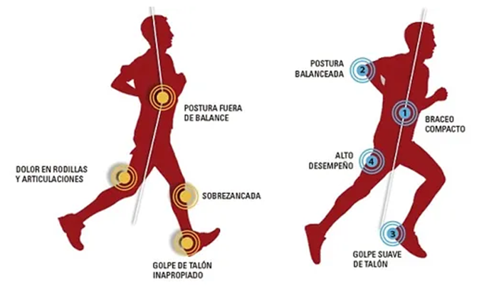 FASES DE LA TECNICA DE CARRERA – Colrunners